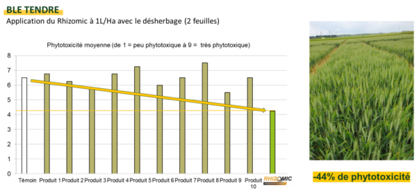 Rhizomic - Via Végétale
